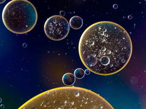 ¿Sabes cuál es la composición del Aceite de oliva? Entra y descúbrelo.